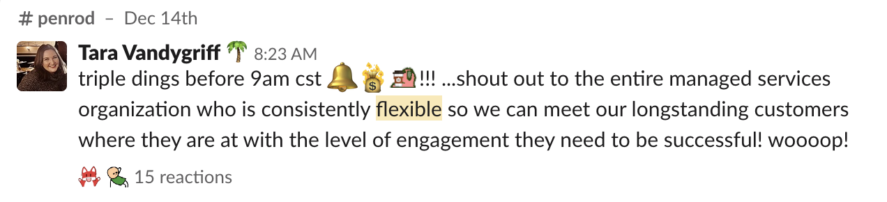 Core Values Series Flexibility